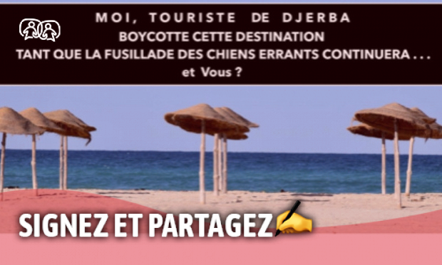Pétition : Moi, Touriste de Djerba, boycotte cette destination tant que ...